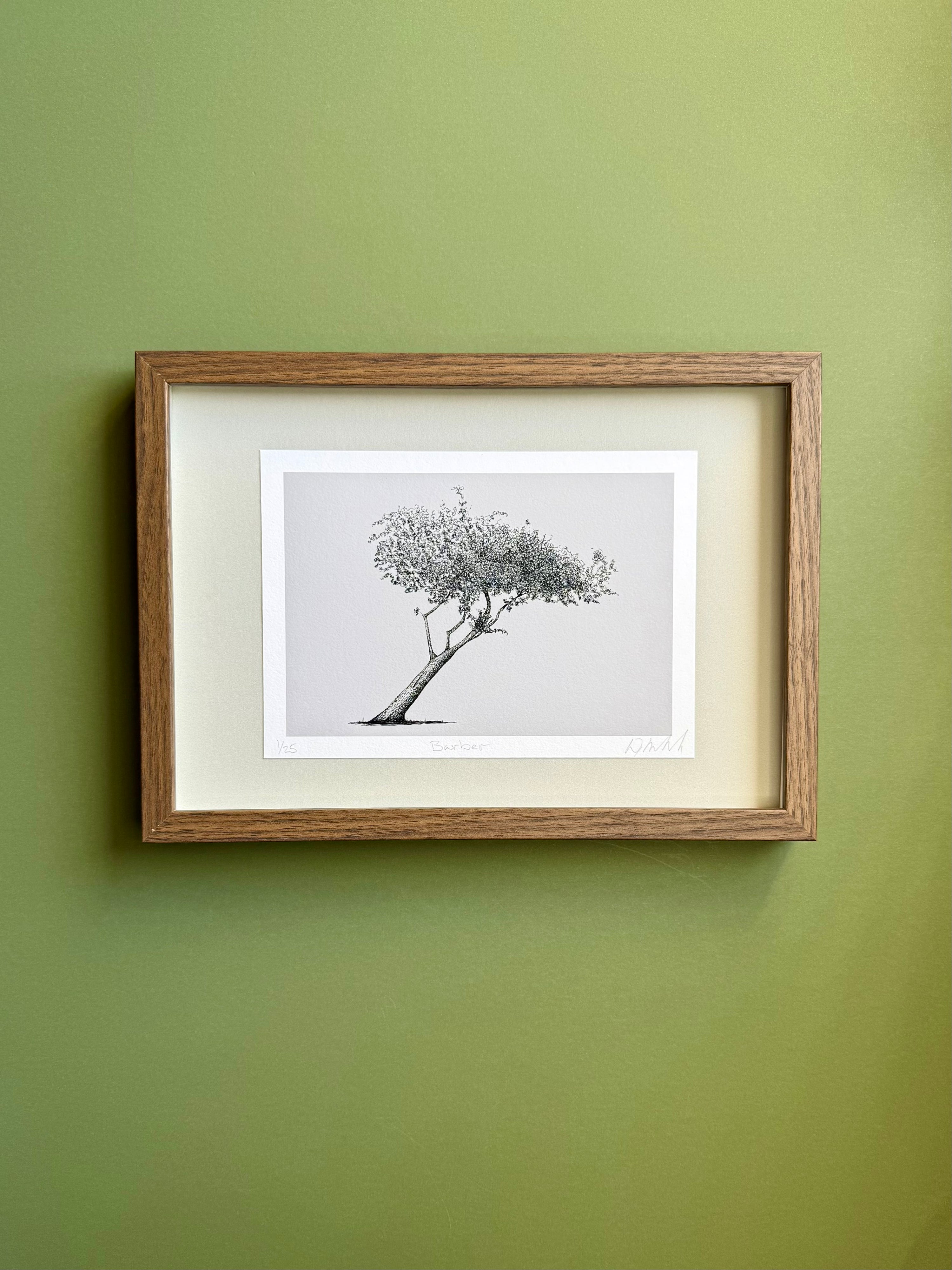 Warren Drawing Trees